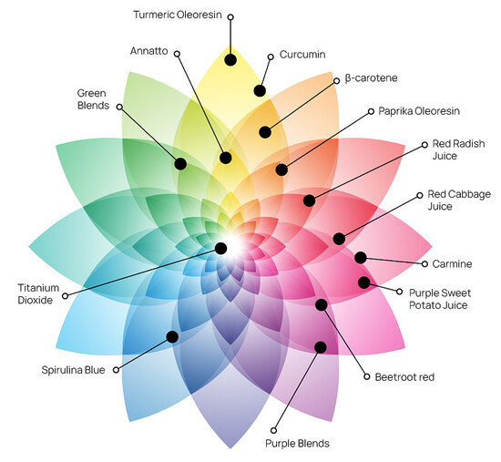 Home - The Color Lab